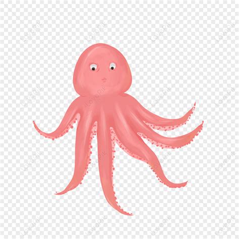 핑크 만화 일러스트 문어 바다 별물의이국적인 Png 일러스트 무료 다운로드 Lovepik