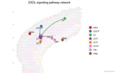 跟着官网学cellchat 从空间成像数据推断和分析空间信息的细胞间通信 cellchat教程 csdn博客