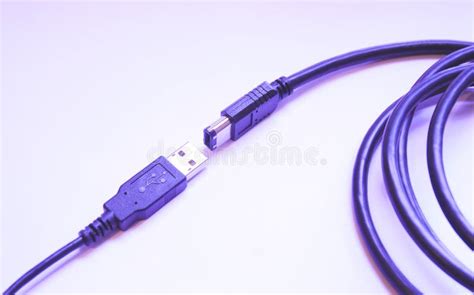 Usb Firewire Connections Picture Image 8057848