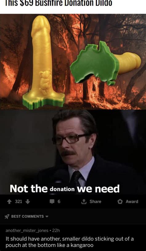 It Should Have Another Smaller Dildo Sticking Out Of A Pouch At The