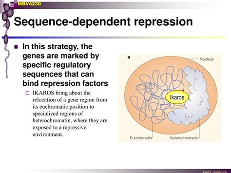 Ppt Repression Powerpoint Presentation Free Download Id4462228