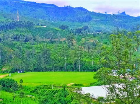 National Players Start Training At Radella Ahead Of The Nz Tour Buzzer