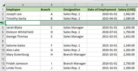 Remove Blank Rows In Excel Ways VBA