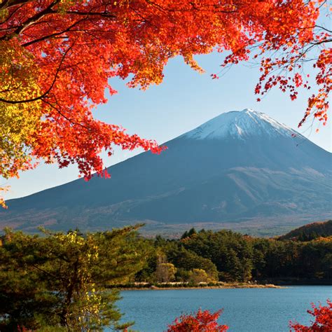 Japanese Harmony 和 Soul At Earth