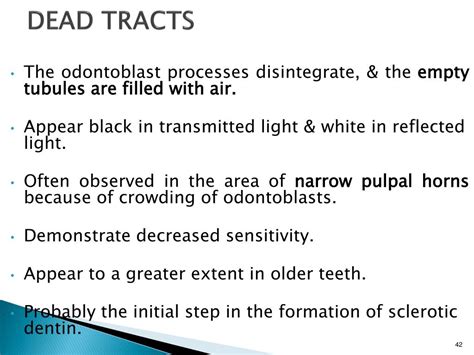 Ppt Dentin Powerpoint Presentation Free Download Id835637