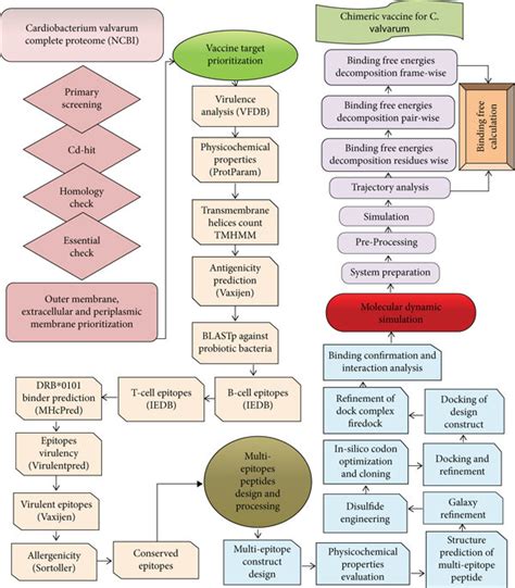 schematic representation of research methodology download scientific