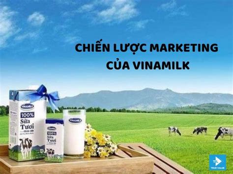 Chiến lược Marketing của Vinamilk Bài học tiếp thị đắt giá