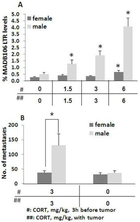 Sex Differences In The Influence Of CORT On LTR And On Numbers Of Download Scientific Diagram