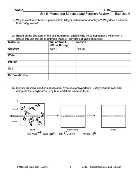 Membrane Structure And Function Exercise Unit Membrane Structure And Function Review