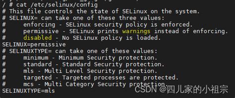 linux selinux机制 csdn博客