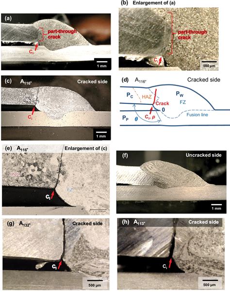 Sectional Metallographic Structures And Crack Positions After Fatigue Download Scientific