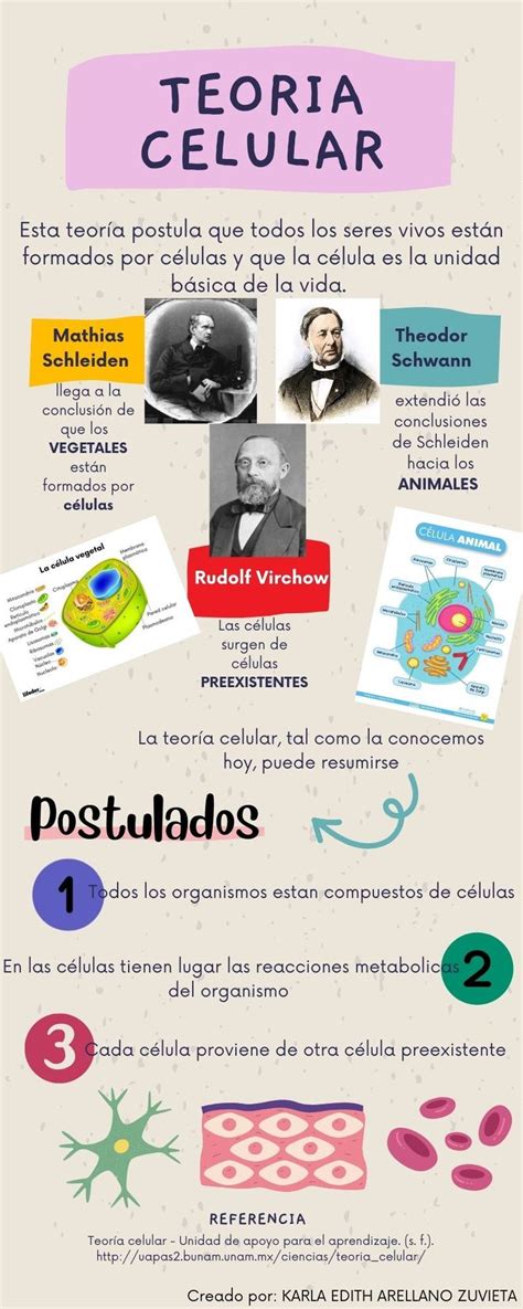 Teoría Celular Teoría Celular Clases De Celulas Cómo Tomar Notas