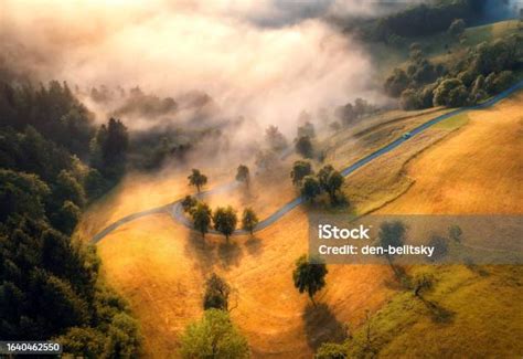 여름에 놀라운 일출에 낮은 구름 속의 고산 초원과 산의 나무 공중 전망 슬로베니아의 안개 속에서 푸른 잔디와 나무가 있는 언덕의 최고 드론 보기 자연 산 계곡 0명에 대한