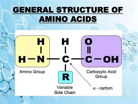 Classification And Structure Of Standard Amino Acids Pptx