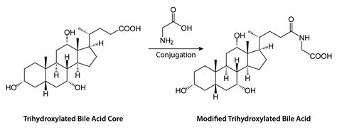 Leveraging Ometa Flow For In Vitro And In Silico Library Generation — Ometa Labs