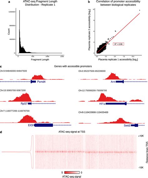 Atac Seq Analysis Of E9 5 Mouse Placenta A Distribution Of Atac Seq