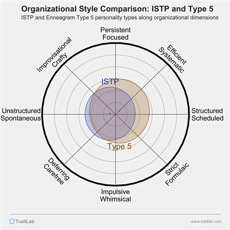 Istp And Enneagram Type 5 Compatibility Relationships Friendships