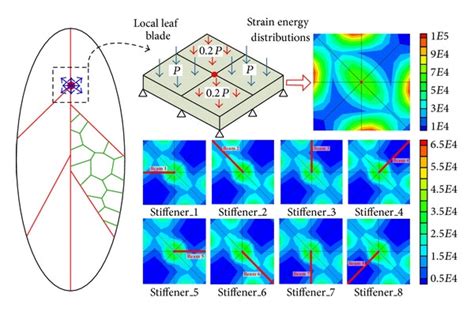 Multidiscipline Topology Optimization Of Stiffened Plate Shell Structures Inspired By Growth