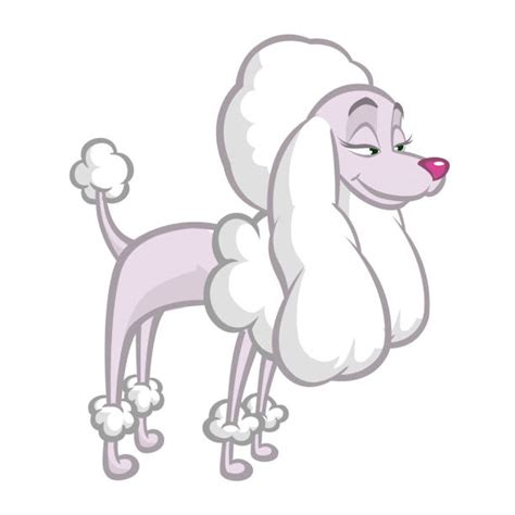 French Poodle Clip Art Illustrations Royalty Free Vector Graphics