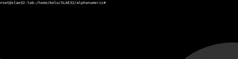 Linux Shellcode Alphanumeric Execve BlackCloud