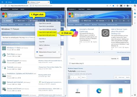Open Split Screen View for Tab in Microsoft Edge | Windows 11 Forum