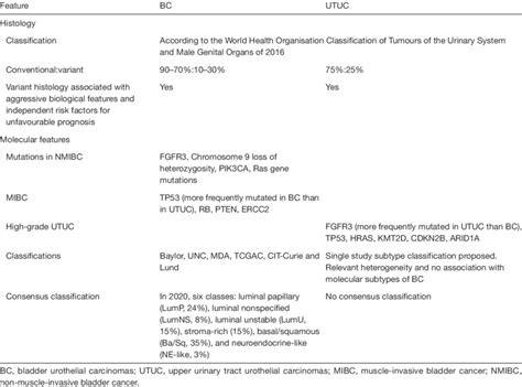 Pathological And Molecular Features Download Scientific Diagram