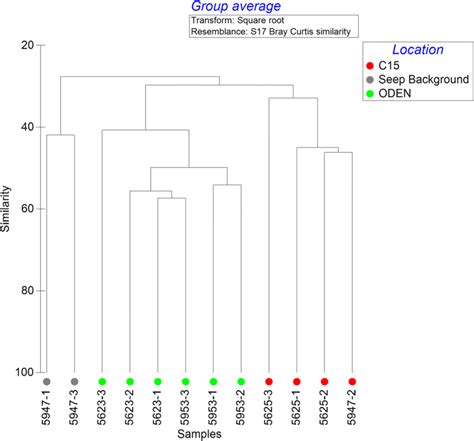 Cluster Analysis Of All Grab Stations Using Braycurtis Similarity
