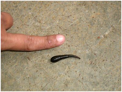 Natural Scientific And Medical Wonders 2013