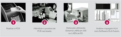 Labtype™ Sso Biometrix