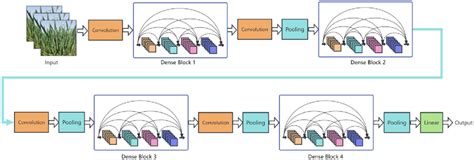 Densenet Network Structure Diagram Download Scientific Diagram