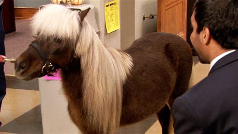 Watch Parks And Recreation Web Exclusive Lil Sebastian Parks And