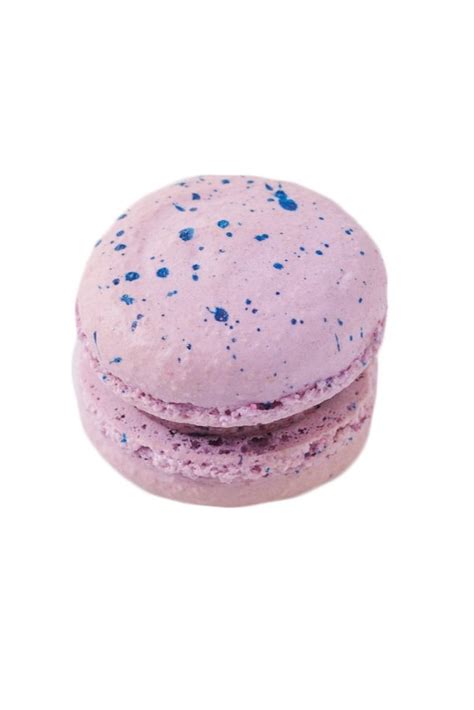 Blueberry Muffin — Frost