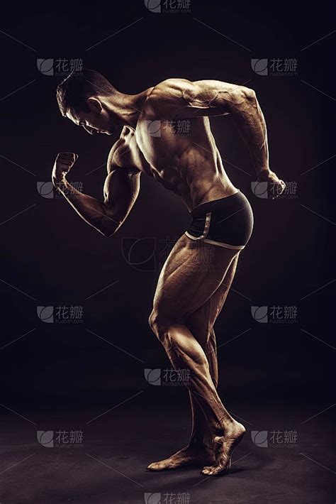 健美男摆姿势，展示完美的腹肌，肩膀，二头肌，三头肌素材 花瓣网