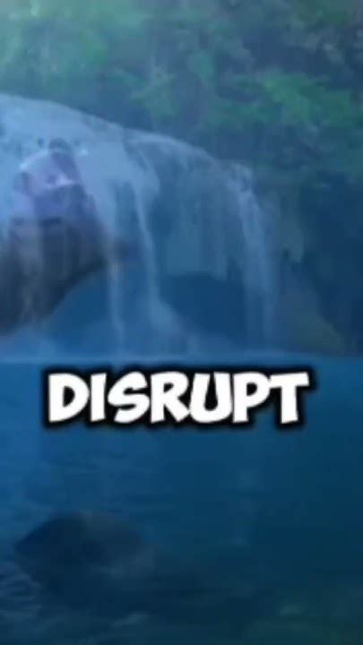 Did You Know Didyouknow Foryou Grow Top Trending Video