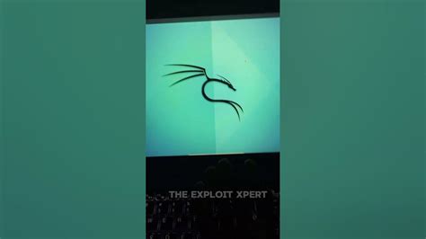 Hackers Motivation Hacker Attitude Status The Exploit Xpert Hackerspace Edit Youtube