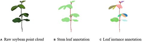 Eff 3dpseg 3d Organ Level Plant Shoot Segmentation Using Annotation Efficient Deep Learning