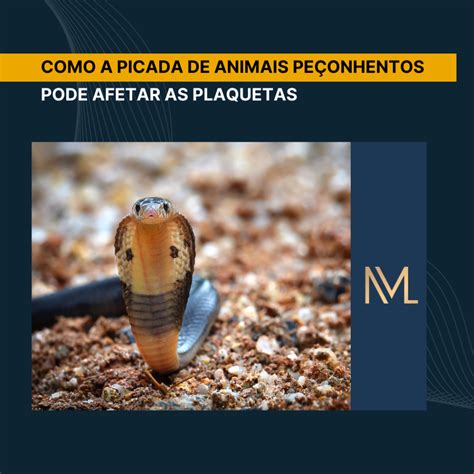 Tubos De Coleta Importância Da Sequência Para Análises Laboratoriais