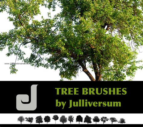 Trees Cs2 Photoshop Brushes 123Freebrushes