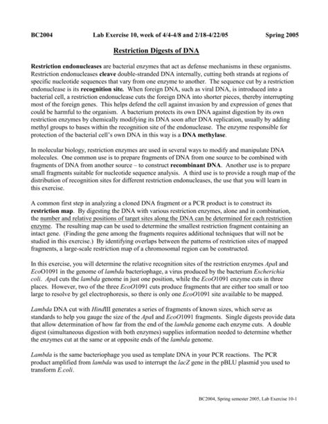 Restriction Digest Of Dna