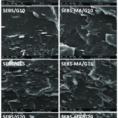 Dsc Curves Of Sebs And Sebs Ma Composites First Heating A Second Download Scientific