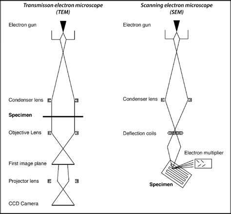 Characterization Of Multicellular Tumor Spheroids Facellitate