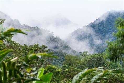Mindo Cloud Forest Full Day Flexible Itinerary