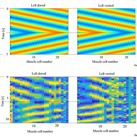 motion analysis of c elegans a motion analysis capture of c