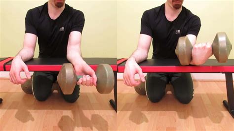 How To Build Hand And Forearm Strength At Lynne Griffin Blog