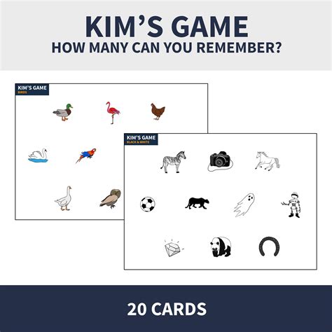Eng Kims Game 20 Cards Various Topics Anglický Jazyk