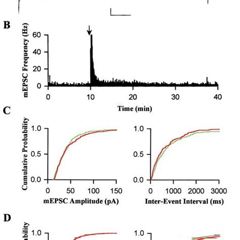 Ltp Is Dependent On Activation Of Nmda Receptors Data Are Plotted As