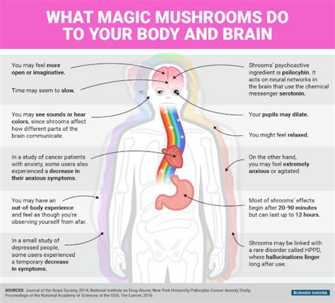 Heres What Magic Mushrooms Do To Your Body And Mind