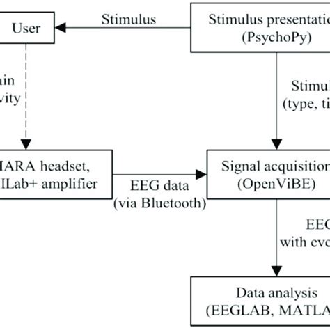 Overall EEG Recording System 39 Download Scientific Diagram