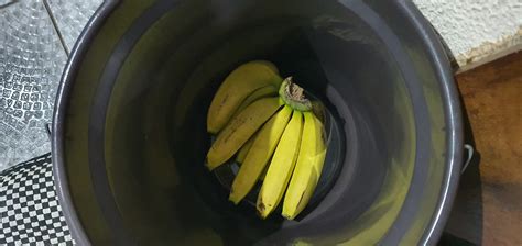 Banana Object Detection Dataset By Fabio Silveira