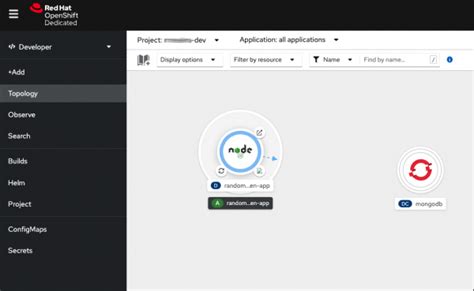 Work With Databases In The Openshift Web Console Foundations Of